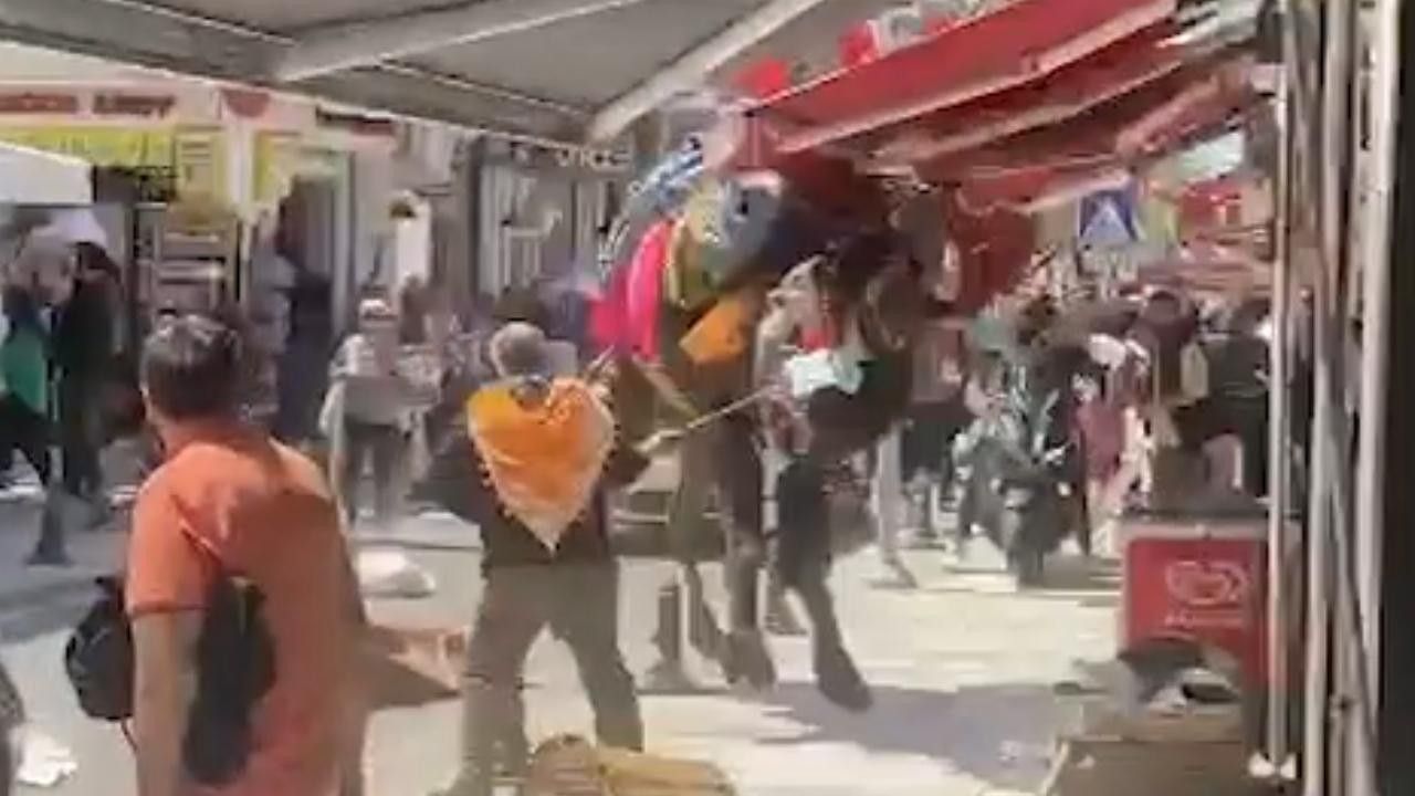 Deveja shkakton panik kur fillon e kërcen në një rrugë të Bodrumit ...