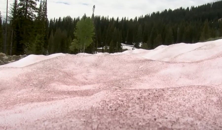 Utah's mountain snow is turning pink and orange - Telegraph - Telegraph