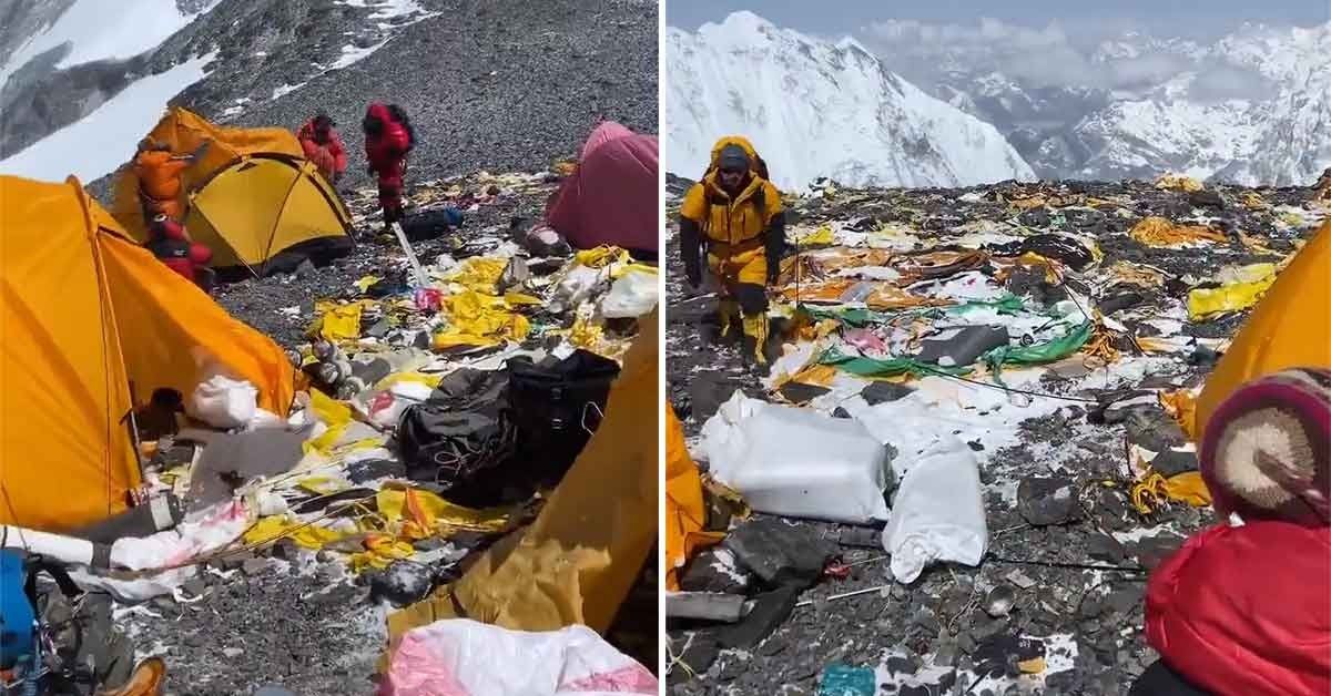 Some images that have gone viral show the presence of garbage scattered ...