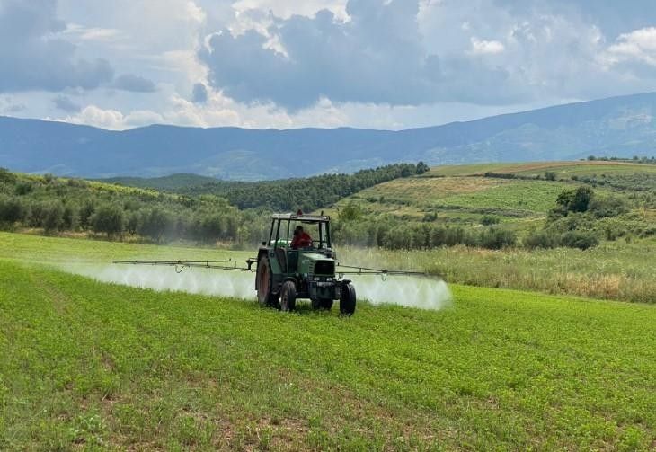 Karkaleci dëmton të mbjellat në Shqipëri, Ministria e Bujqësisë nis ...