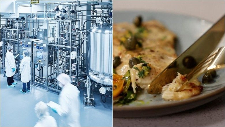 "A new era": 'Laboratory produced meat' receives approval for sale in ...