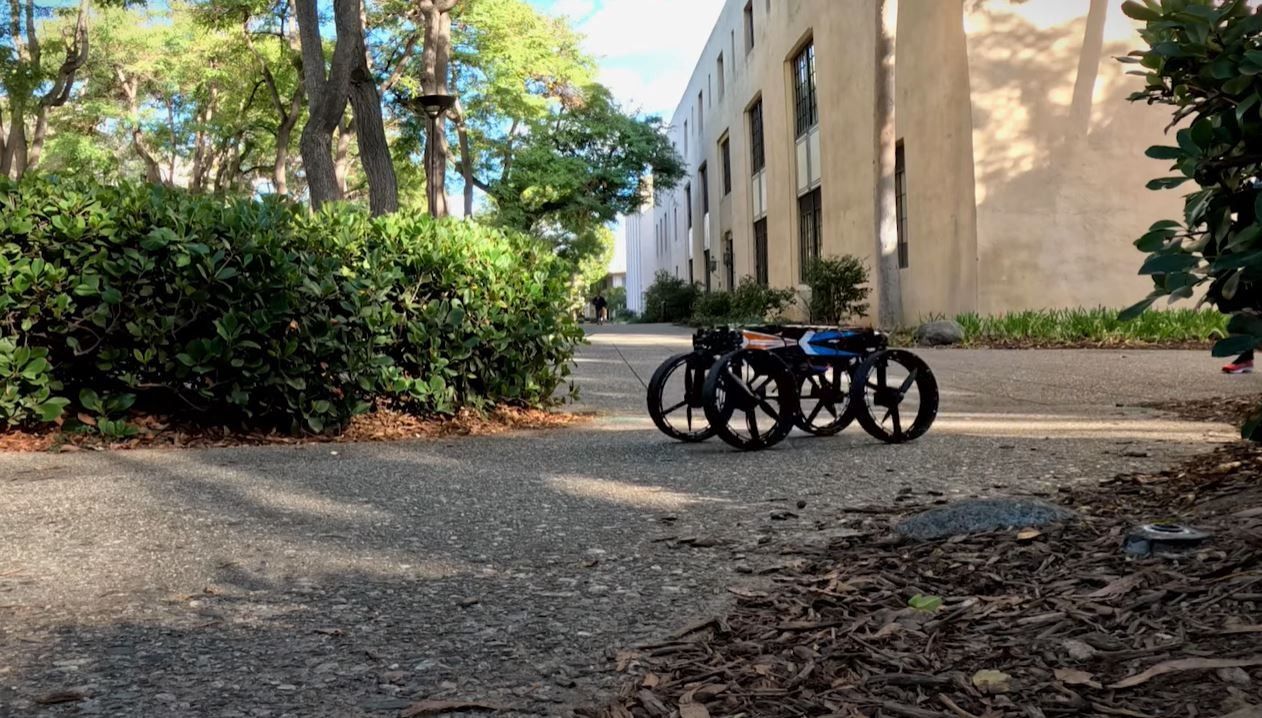 Caltech's transforming robot can fly, walk and drive like a car ...