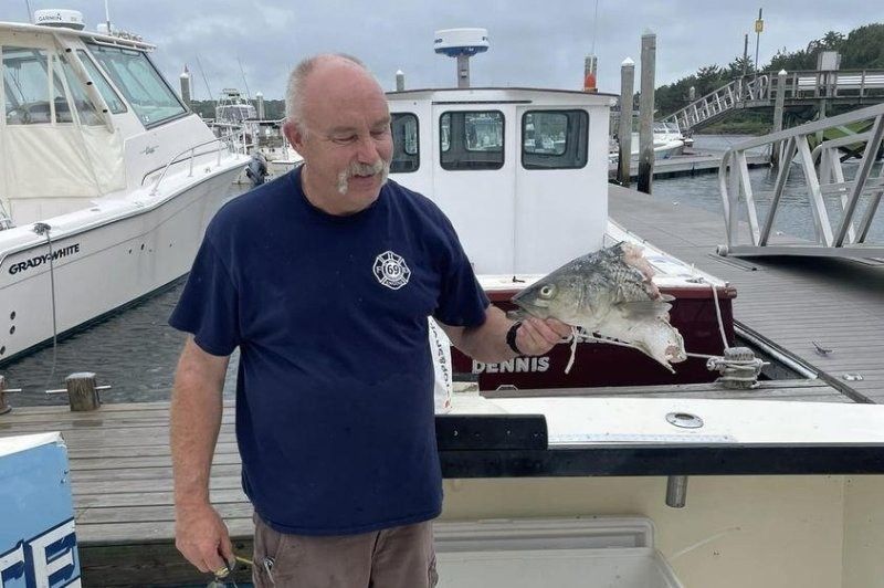 The American who caught the fish was stunned when he saw only its head ...