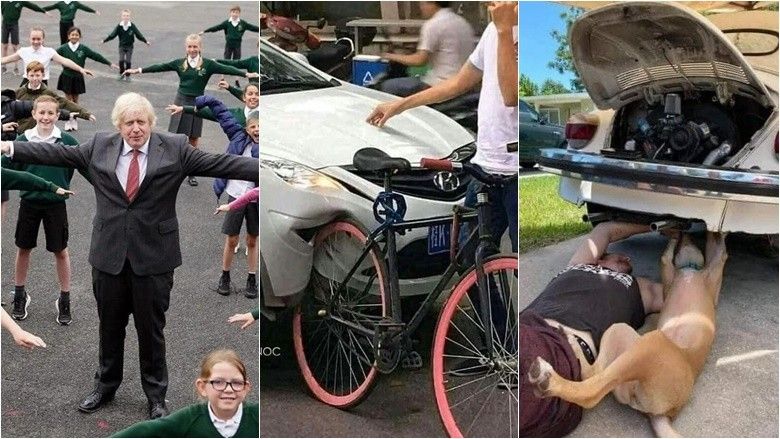 12 pictures, among the most interesting you have ever seen - Telegraph ...