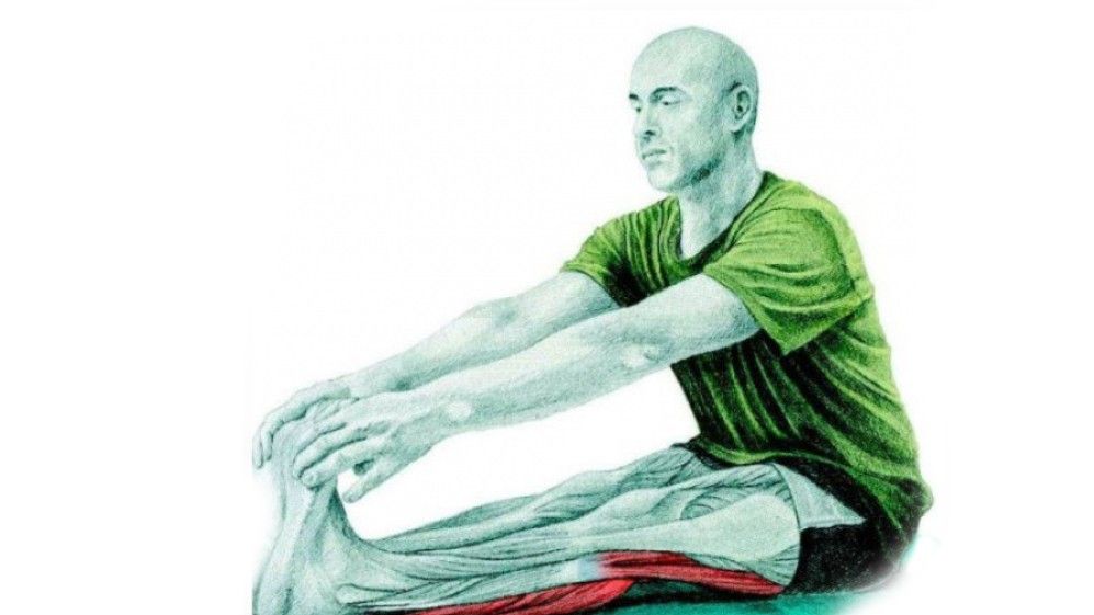 These illustrations explain which muscles you stretch when you do ...