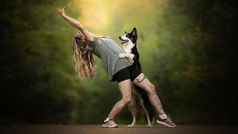 It will brighten your day: Dancing with dogs that makes you smile ...