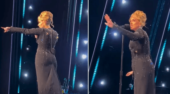 Adele stops performing in Las Vegas to help a fan who was being ...