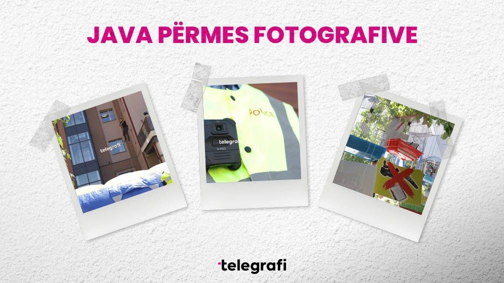 Pictures of the week, some of the most interesting events - Telegraph ...