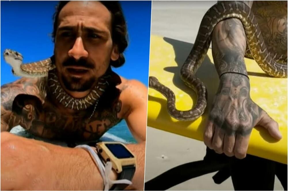 The Australian is fined for 'surfing' with his pet, he scared everyone ...