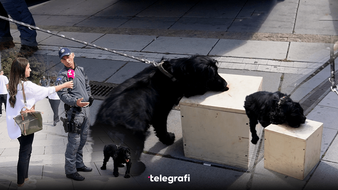 Demonstration of the trained dog Lisa for finding narcotics and ...