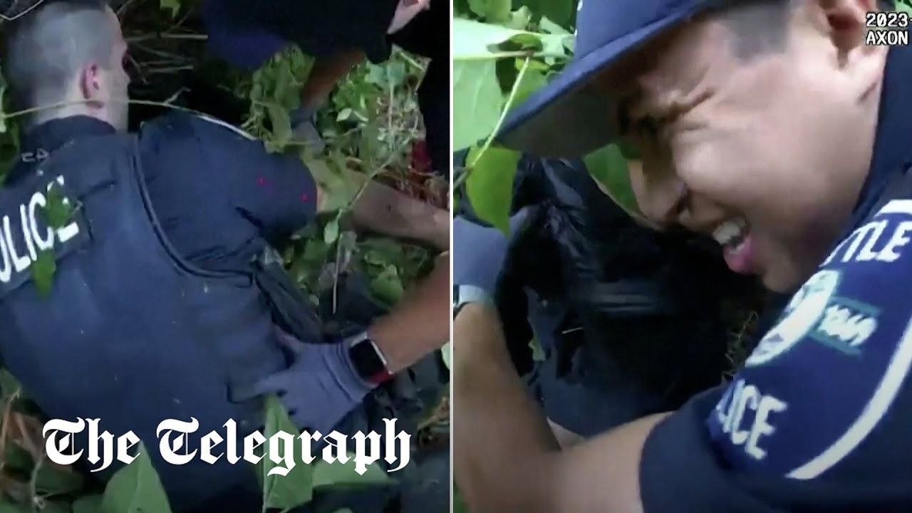 Wasps attack police during an action in Seattle - Telegraph - Telegraph