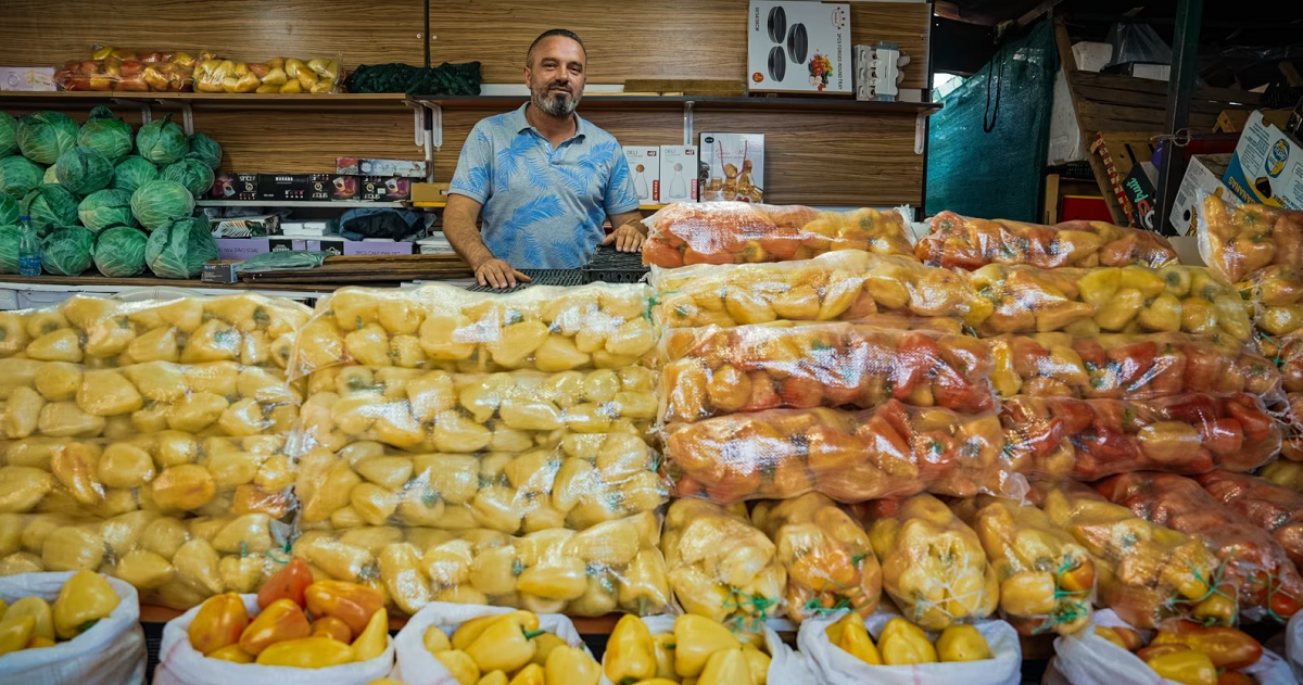 Perimet për turshi, sivjet çmimet 'të paprekshme' - Telegrafi - Telegrafi