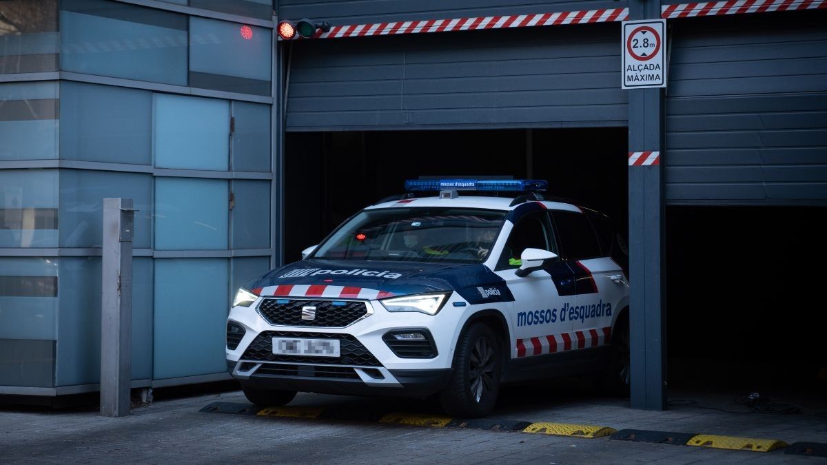 “Veglat e punës” i fshihnin në pyll, arrestohen dy “skifterë” shqiptarë ...