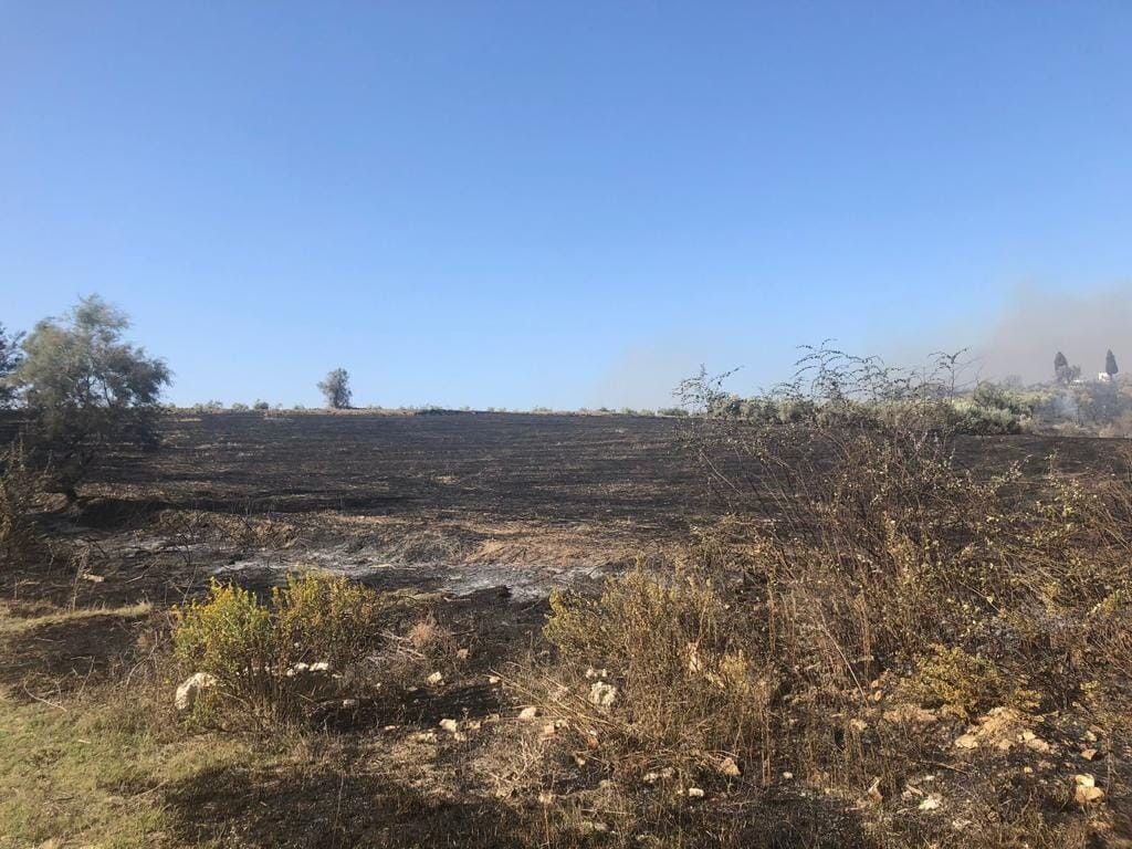 Ndezi zjarr dhe si pasojë e përhapjes së flakëve u dogjën 22 hektarë ...