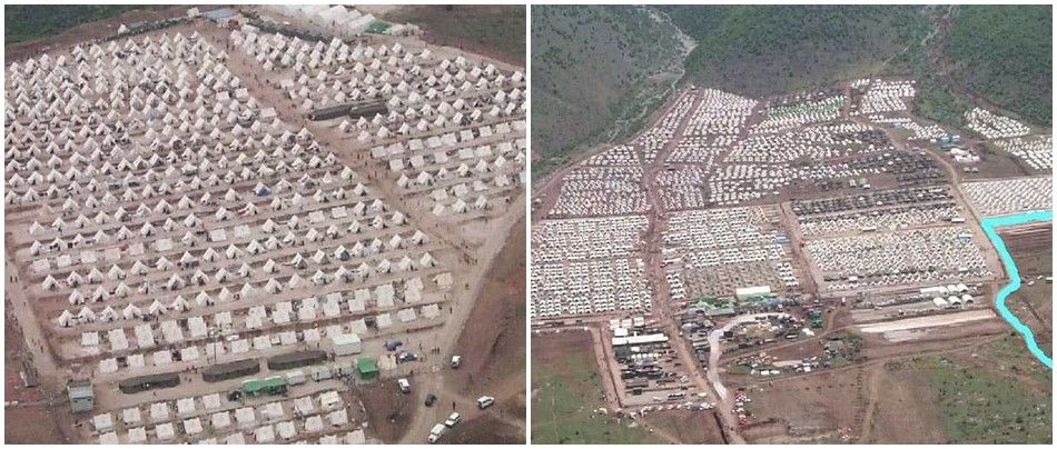 Last Bites - Telegraph - Telegraph