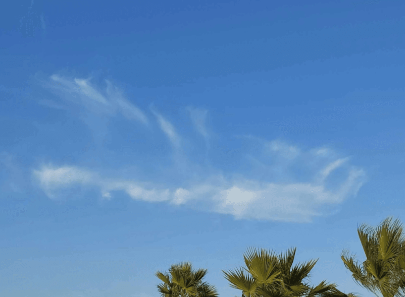 Moti në Shqipëri, temperaturat maksimale arrijnë deri 21 gradë Celsius ...