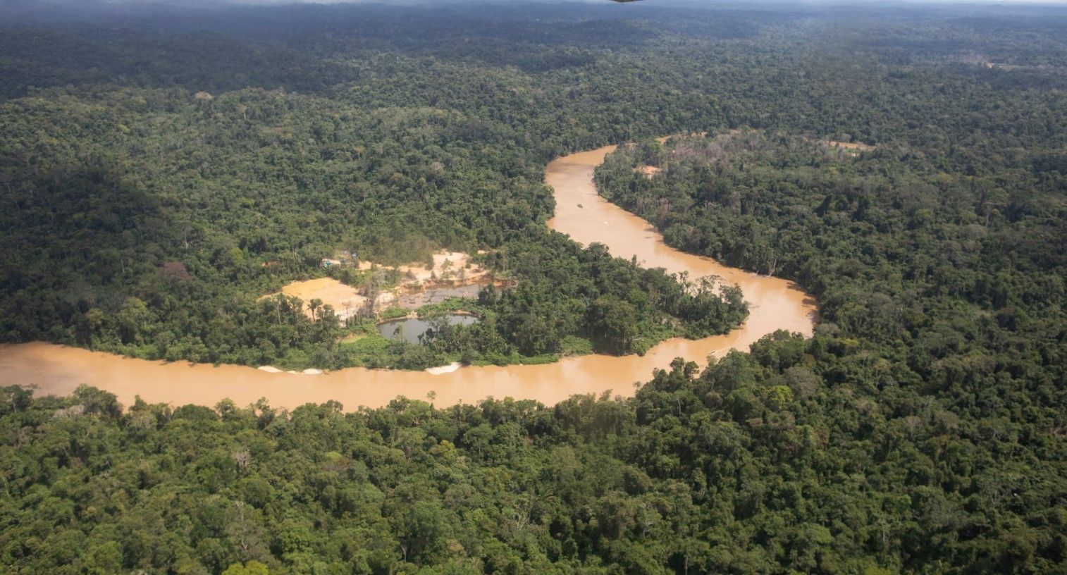 Pyjet tropikale të Amazonës mund të arrijnë 'në një pikë kthese' deri ...