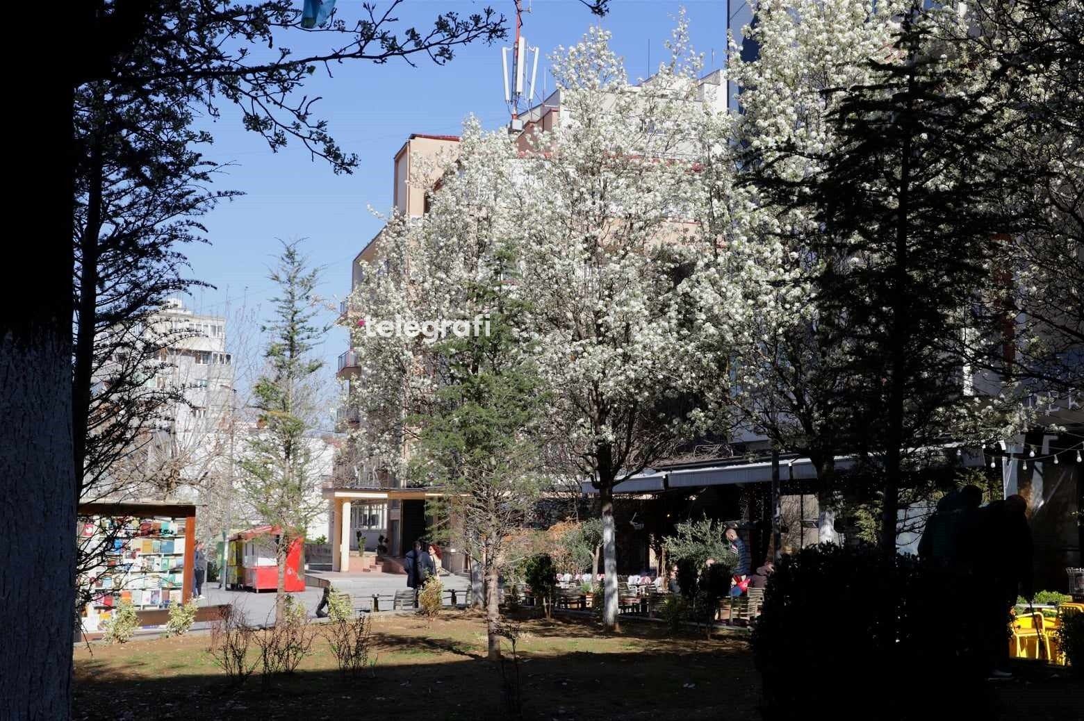 Pranvera në Prishtinë - Telegrafi - Telegrafi