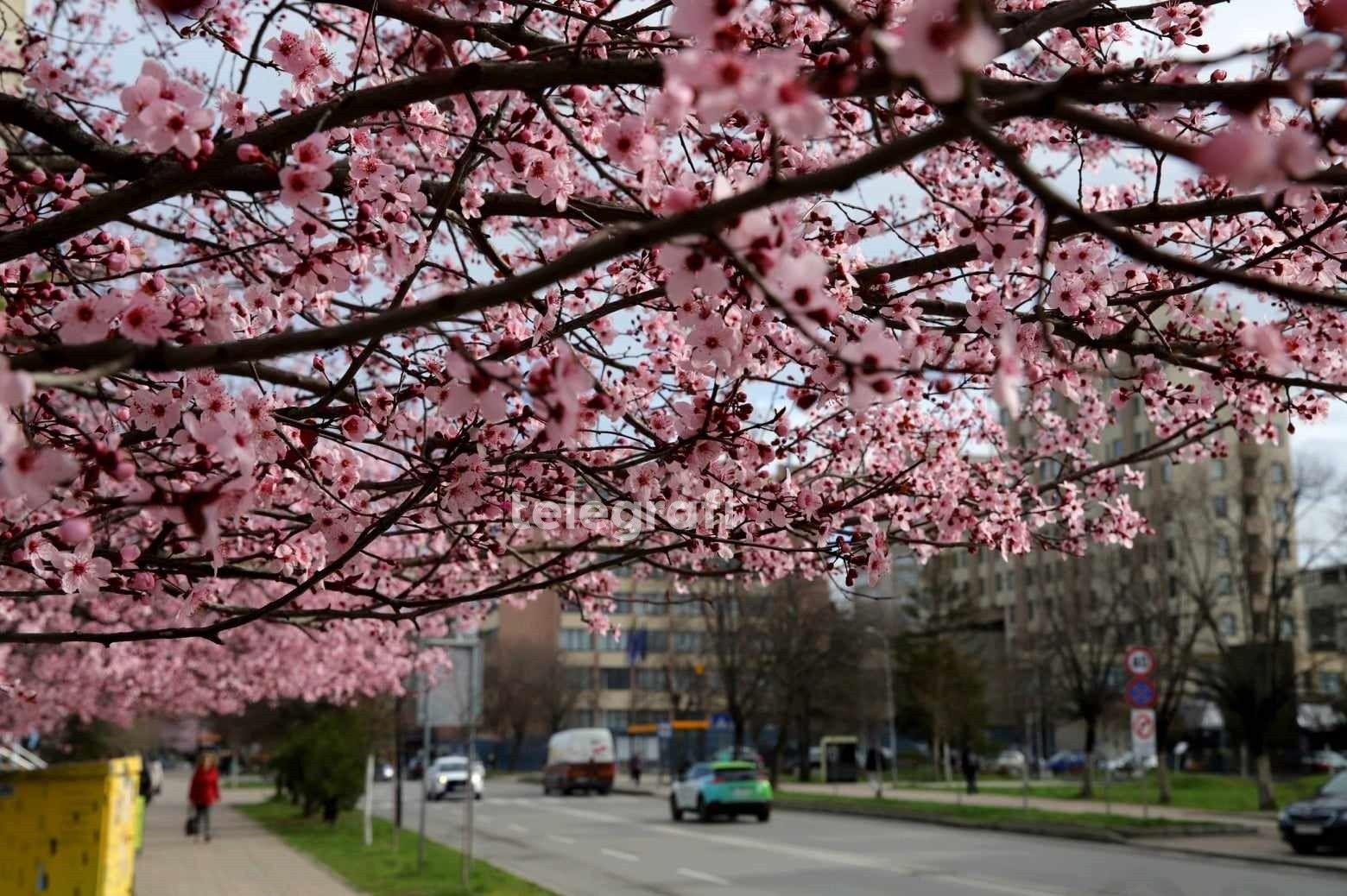 Sunny weather, temperatures up to 29 degrees - Telegraph - Telegraph
