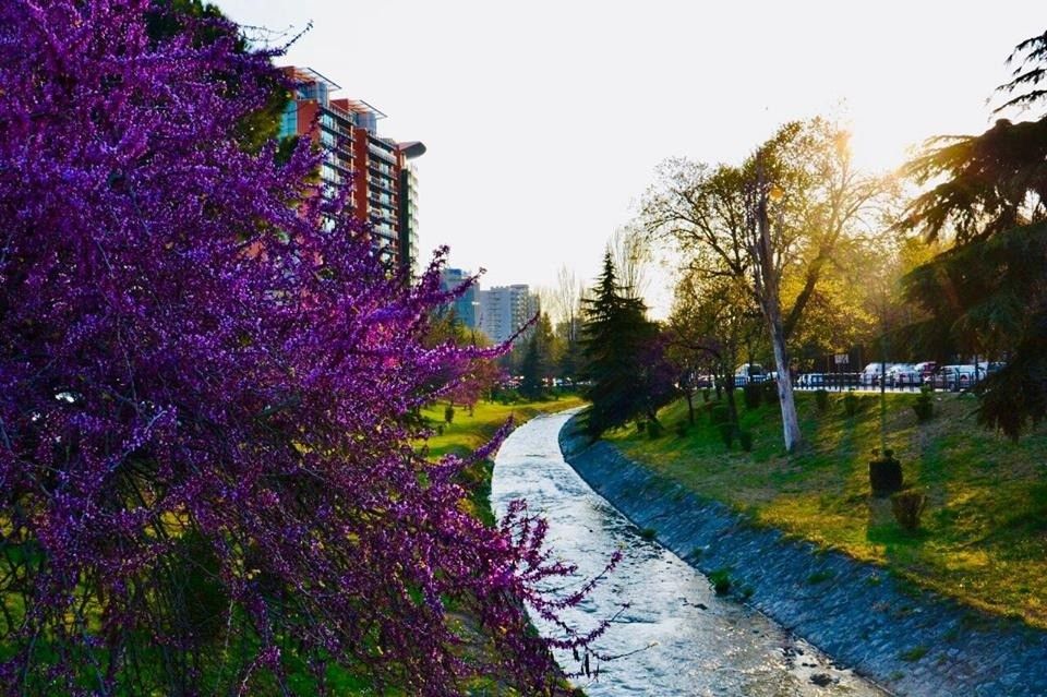 Summer in April, Meteoalb: Temperatures 6 degrees above normal ...