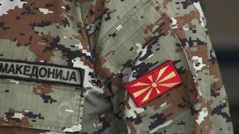 Macedonia, no Albanians in the elite army unit "Wolves" - Telegraph ...