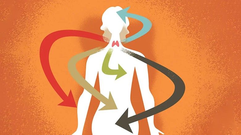 11 simptoma të cilat tregojnë që gjëndrat tiroide nuk punojnë si duhet ...