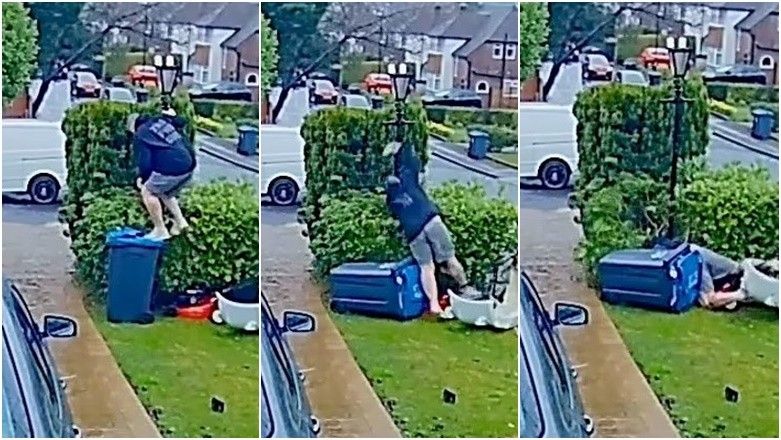 The hilarious moment a man crashes into bushes after trying to climb on ...