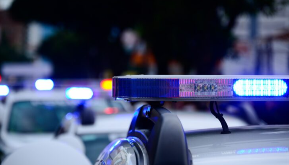 MUP: Driver who hit a pedestrian with his car in Skopje is deprived of ...