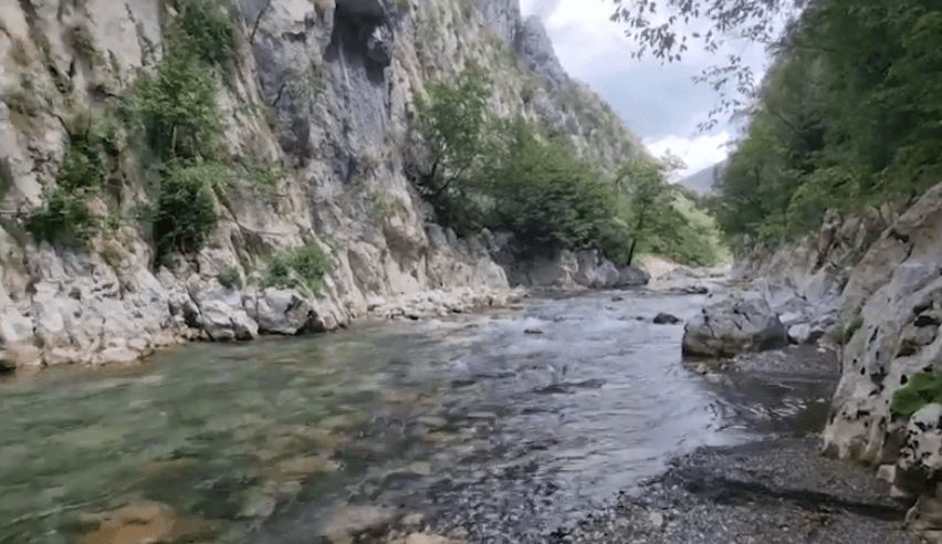 Mati treasure of endemic plants, botanists point out the richness of ...