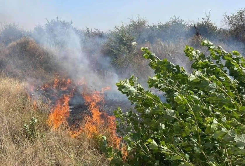 13 zjarre aktive në territorin e RMV-së, tetë janë nën kontroll, ndërsa ...