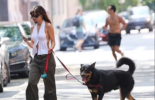 Emily Ratajkowski shows off her signature style as she goes for a walk ...