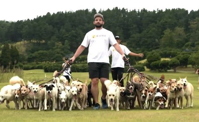 The Canadian walks 38 dogs at the same time to break the world record ...