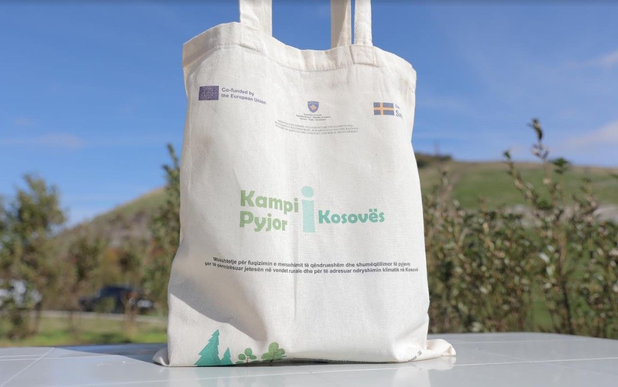 The Forest Camp 2024 opens in Novobërdë, supported by the EU and Sweden ...