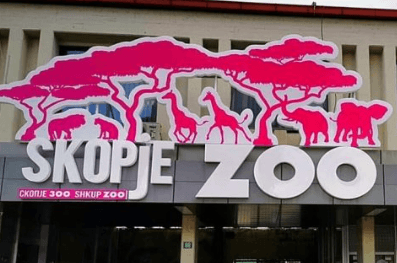 The Zoo in Skopje opens its doors to visitors on Saturday - Telegrafi ...