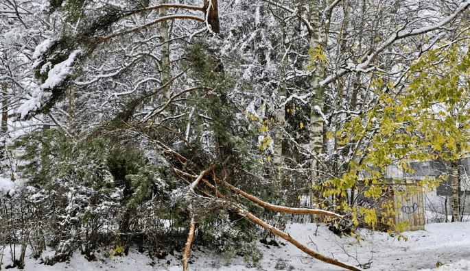 For the first time, Finland is hit by hurricane-force winds that ...