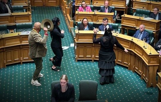 Interesting dance as a sign of protest in the parliament of New Zealand ...
