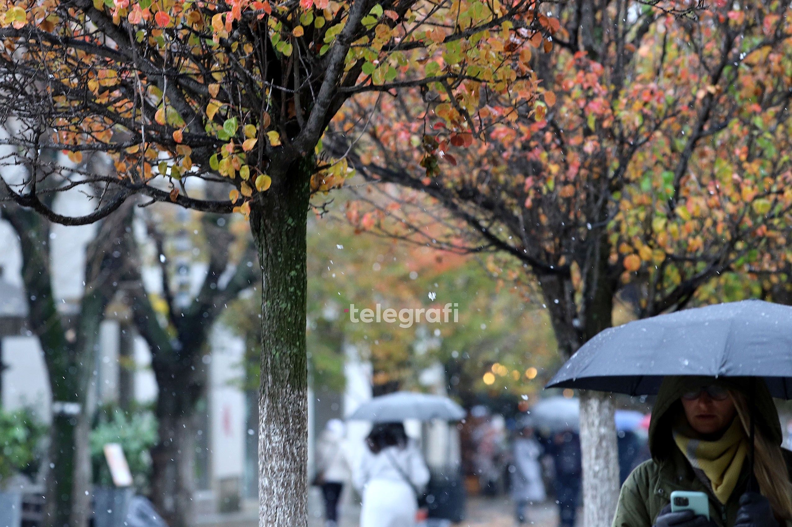 Snowfall in Pristina - Telegraph - Telegraph