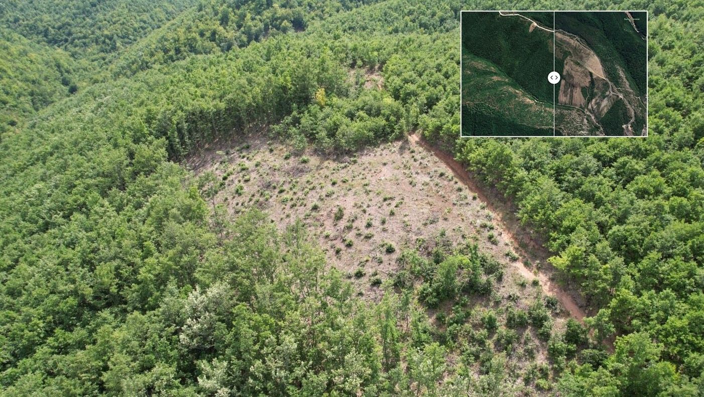 Pyjet e Kosovës në zhdukje: Çka tregojnë pamjet satelitore? - Telegrafi ...