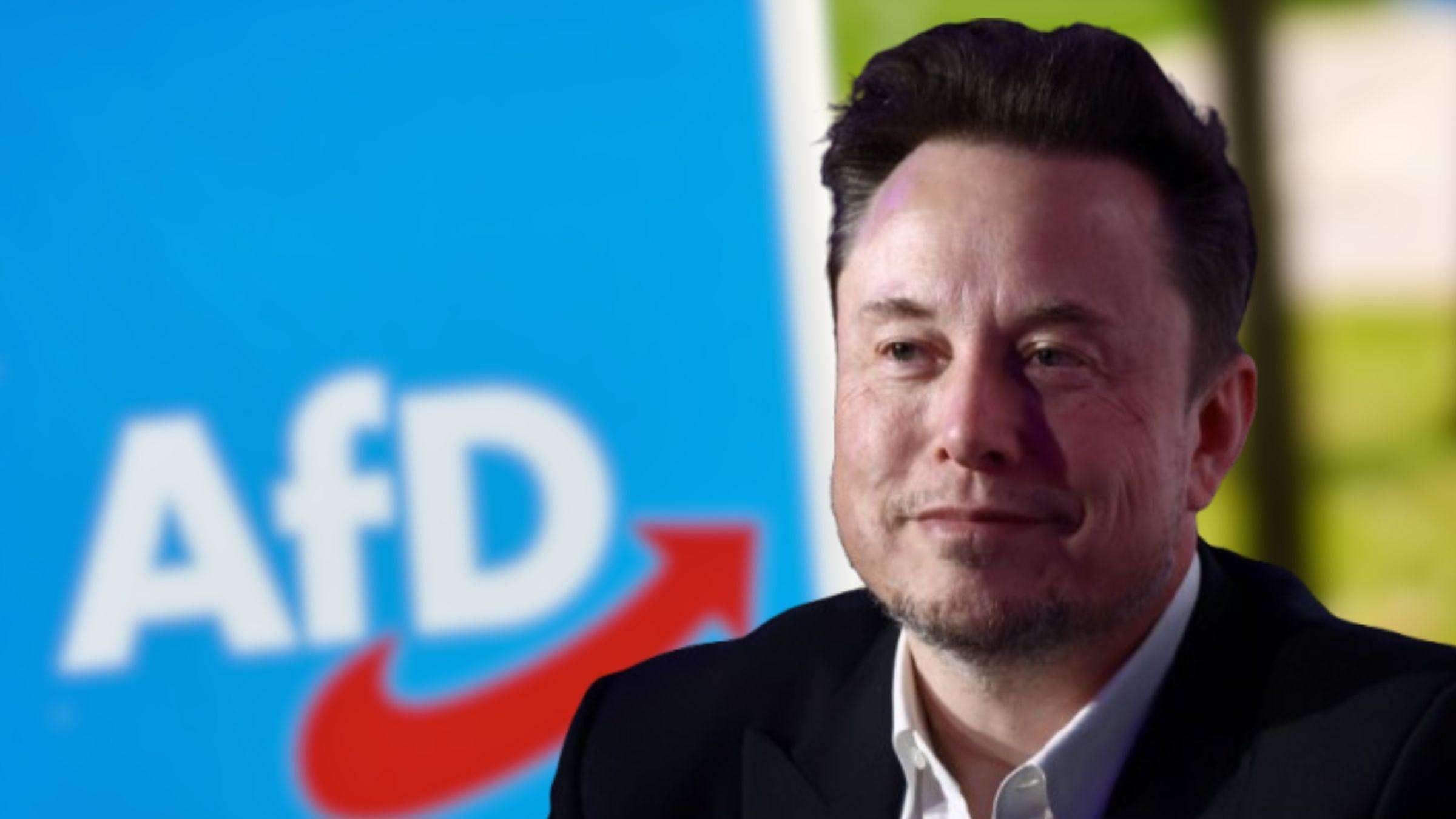 Musk supported Germany's far-right party AfD - he called it the country ...