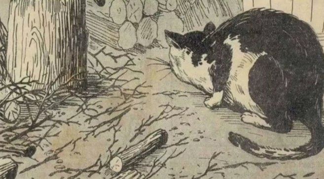 Only those with keen eyesight can spot the frightened mouse hiding from ...