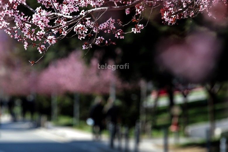 Mot me diell, temperaturat deri në 22 gradë - Telegrafi - Telegrafi