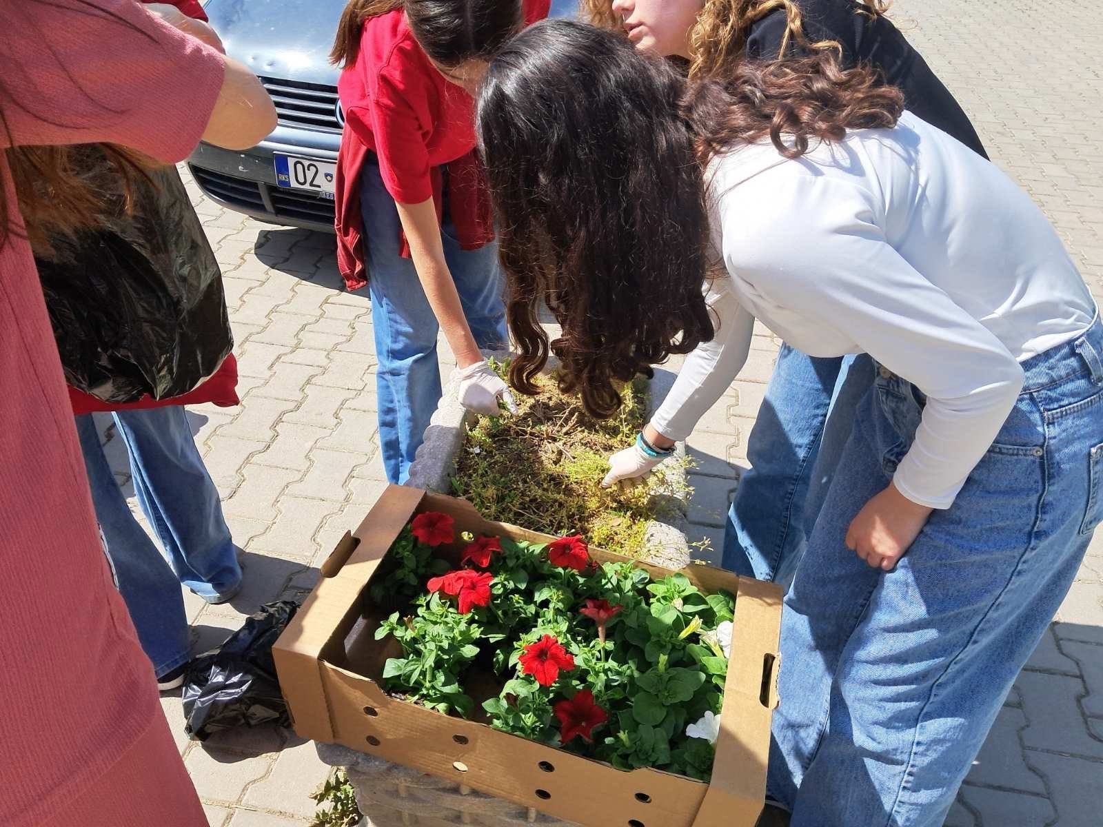 Nxënësit në Mitrovicë mbjellin fidane për nder të Ditës së Tokës ...