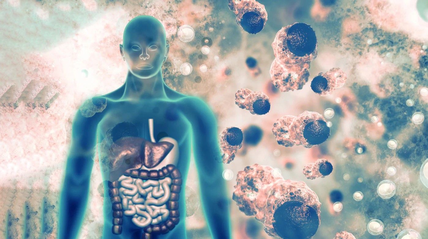 How to cleanse your organs of toxins and never get sick or feel tired ...