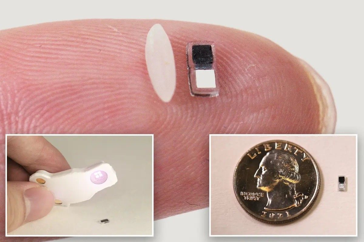 Scientists have made the world's smallest cardiac stimulation pacemaker ...