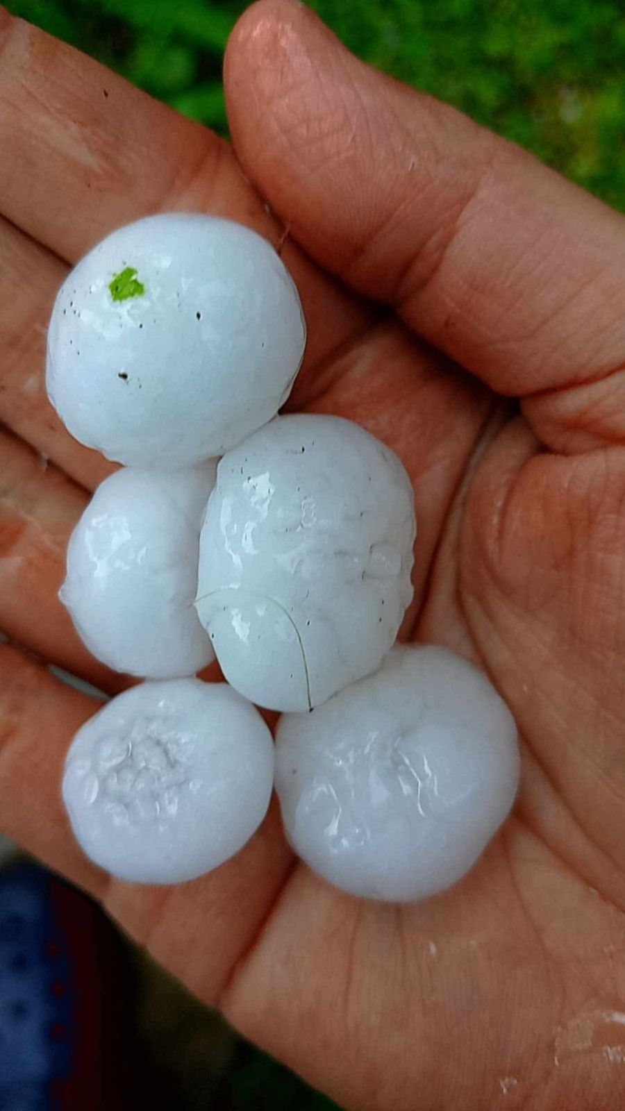 Moti i ligë godet Serbinë, shkulen pemët e dëmtohen çatitë – bie ...