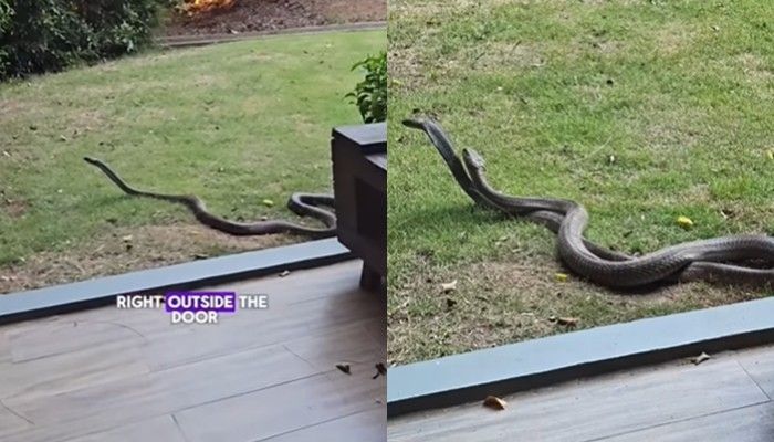 "My hands are shaking", tourist posts footage from outside hotel room ...