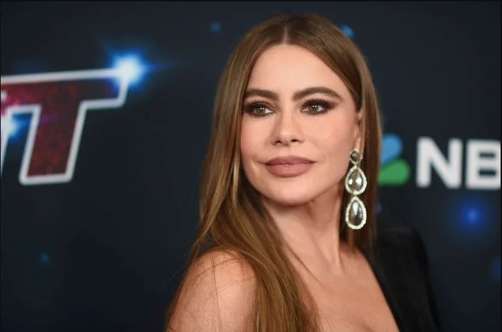 Sofia Vergara reveals what she looks for in a partner after divorce ...