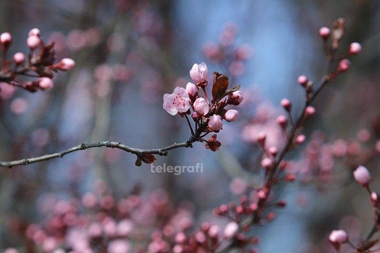 Sunny weather and clouds - Telegraph - Telegraph