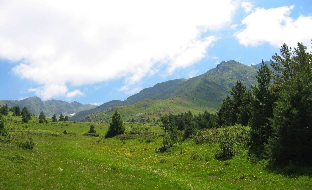 The Inspectorate of the Ministry of Natural Resources and Environment ...