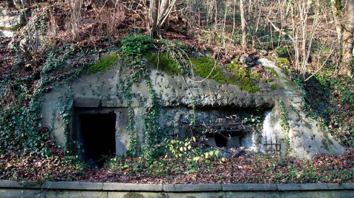 Zvicra ‘ringjall’ bunkerët e kohës së luftës mes shqetësimeve të ...